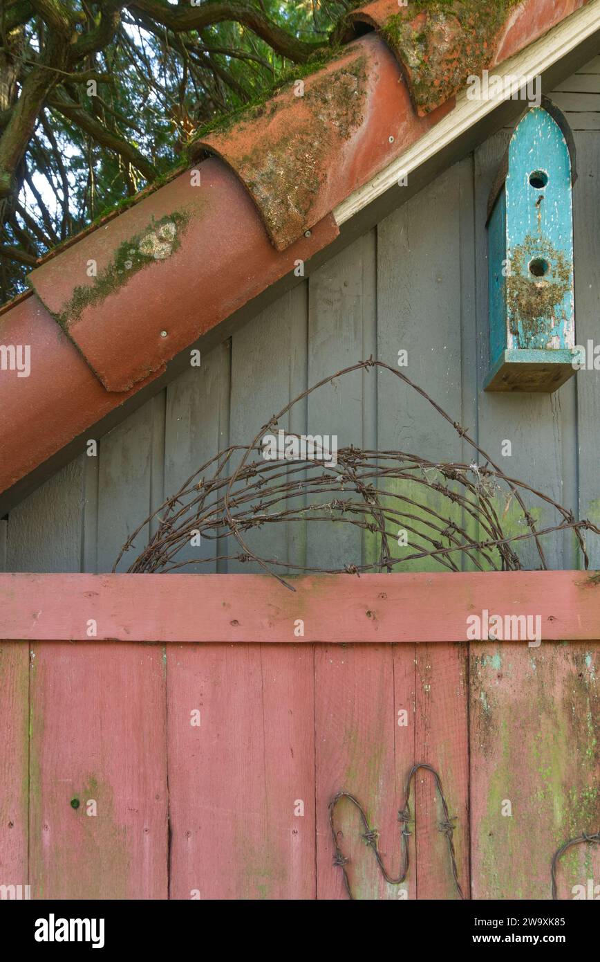 Wooden fence,slanting roof of a building, blue birdhouse, and coiled ...