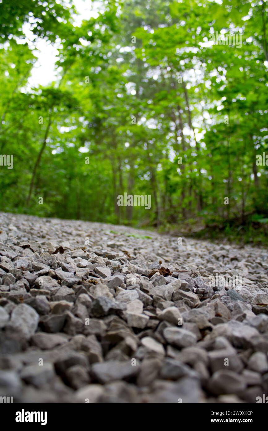 A hiking path in the forest with gravel on the ground Stock Photo - Alamy