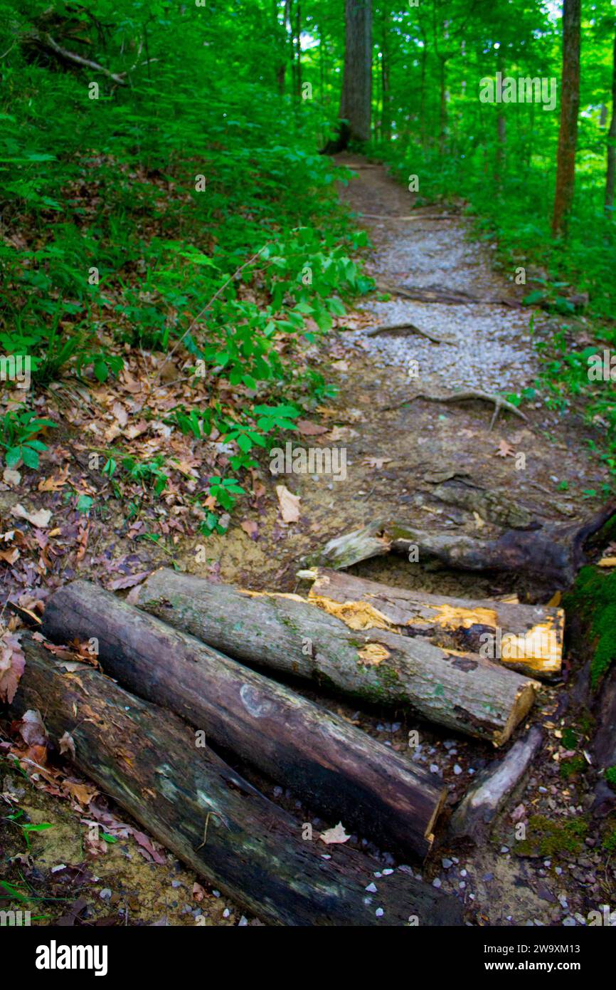 Hiking trail maintenance with logs and gravel Stock Photo - Alamy