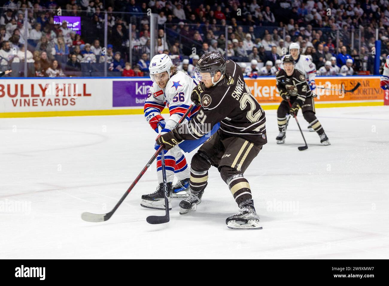 Rochester, New York, USA. 29th Dec, 2023. Hershey Bears forward Joe ...