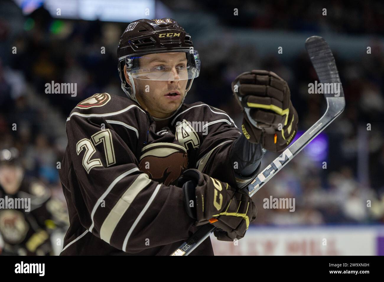 Rochester, New York, USA. 29th Dec, 2023. Hershey Bears defenseman ...