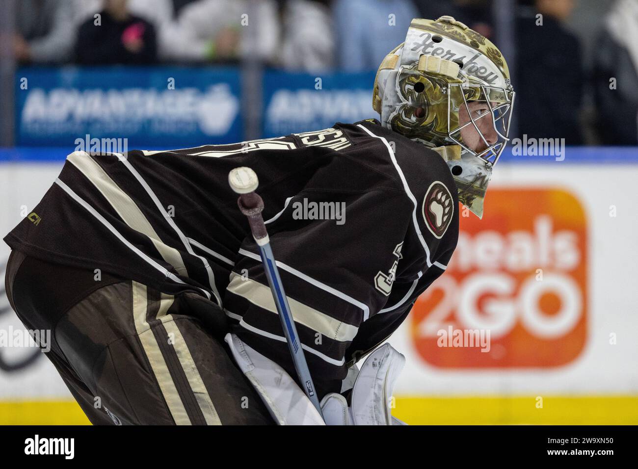 Rochester, New York, USA. 29th Dec, 2023. Hershey Bears goaltender Clay ...