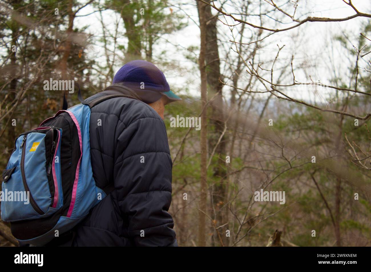 A medium close-up of an elderly man hiking into the woods, wearing a ...