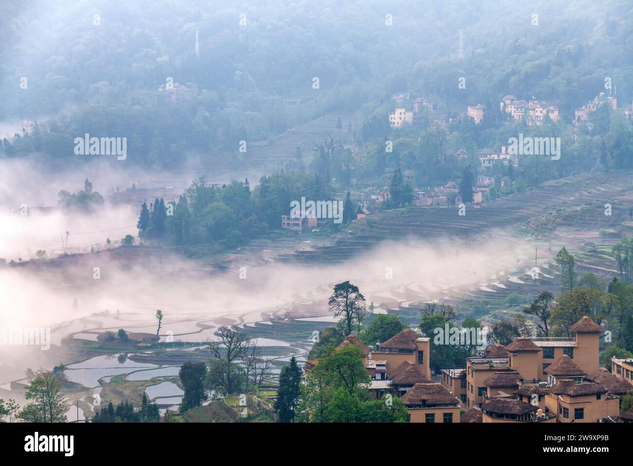 The cottage in the morning fog of Ailao Mountain, Yuanyang County ...