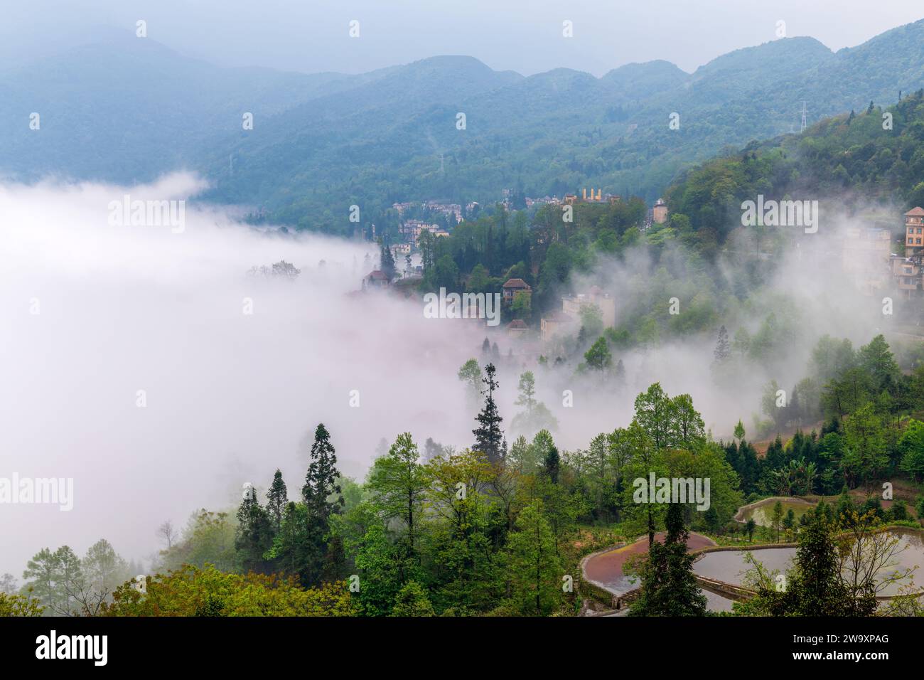 The cottage in the morning fog of Ailao Mountain, Yuanyang County ...