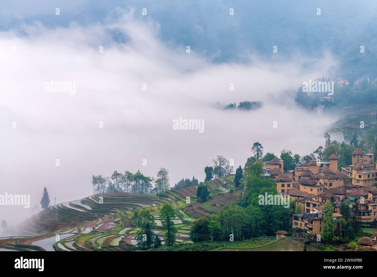 The cottage in the morning fog of Ailao Mountain, Yuanyang County ...