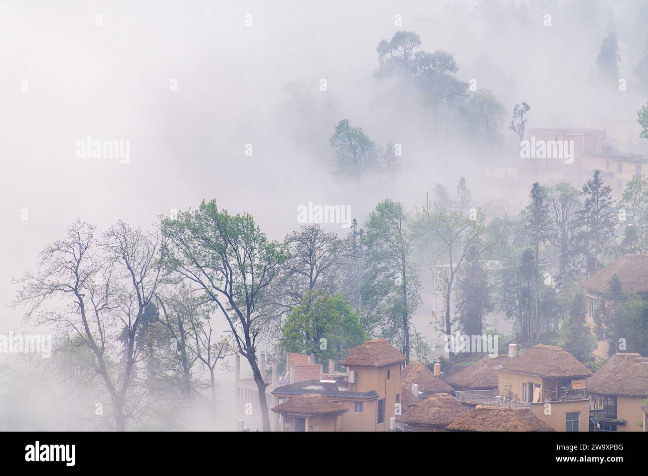 The cottage in the morning fog of Ailao Mountain, Yuanyang County ...
