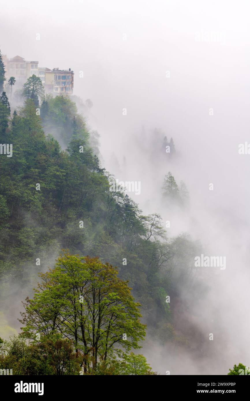 The cottage in the morning fog of Ailao Mountain, Yuanyang County ...