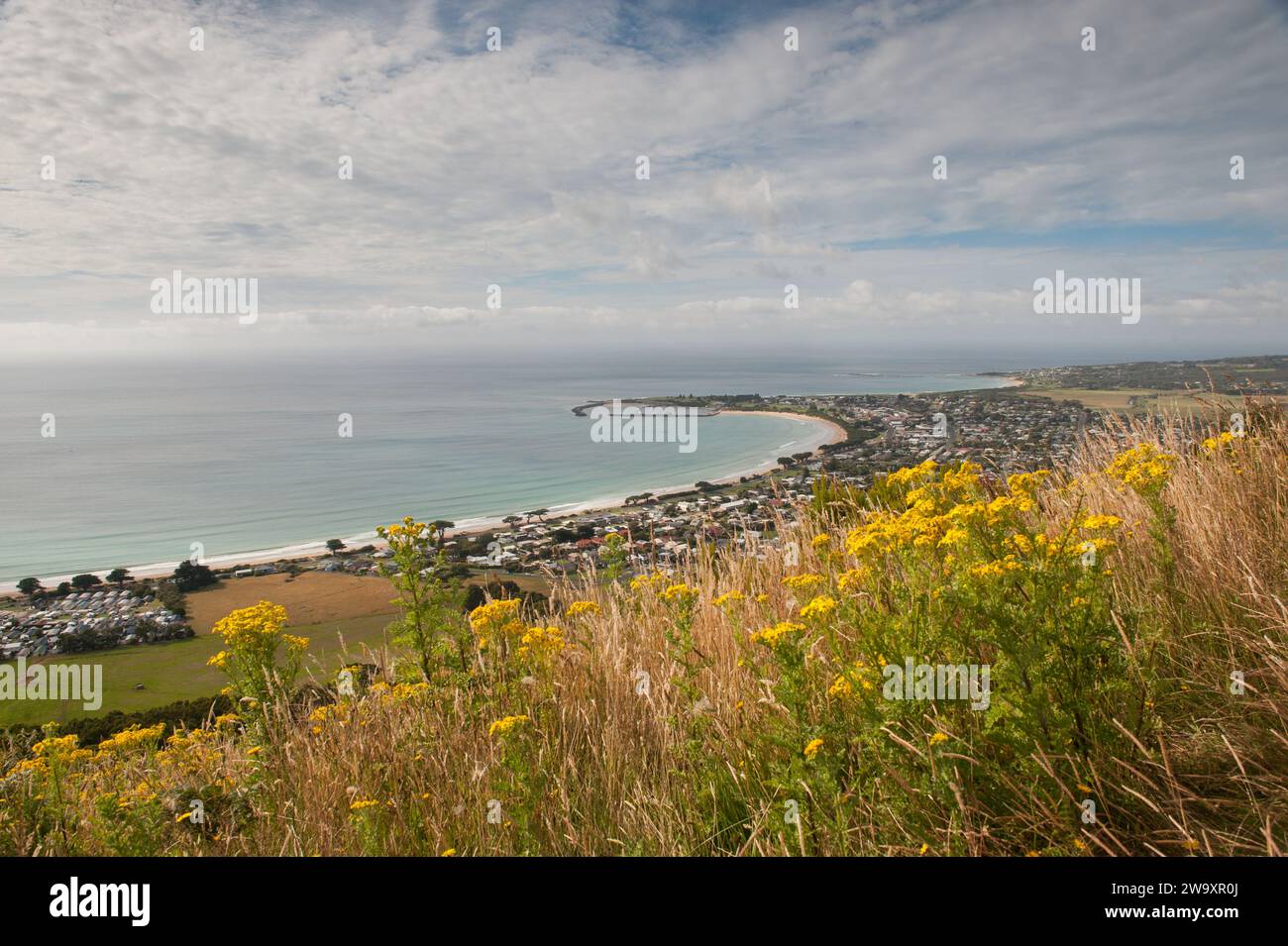 Spectacular ocean, beach, hinterland and Apollo Bay township as scene ...