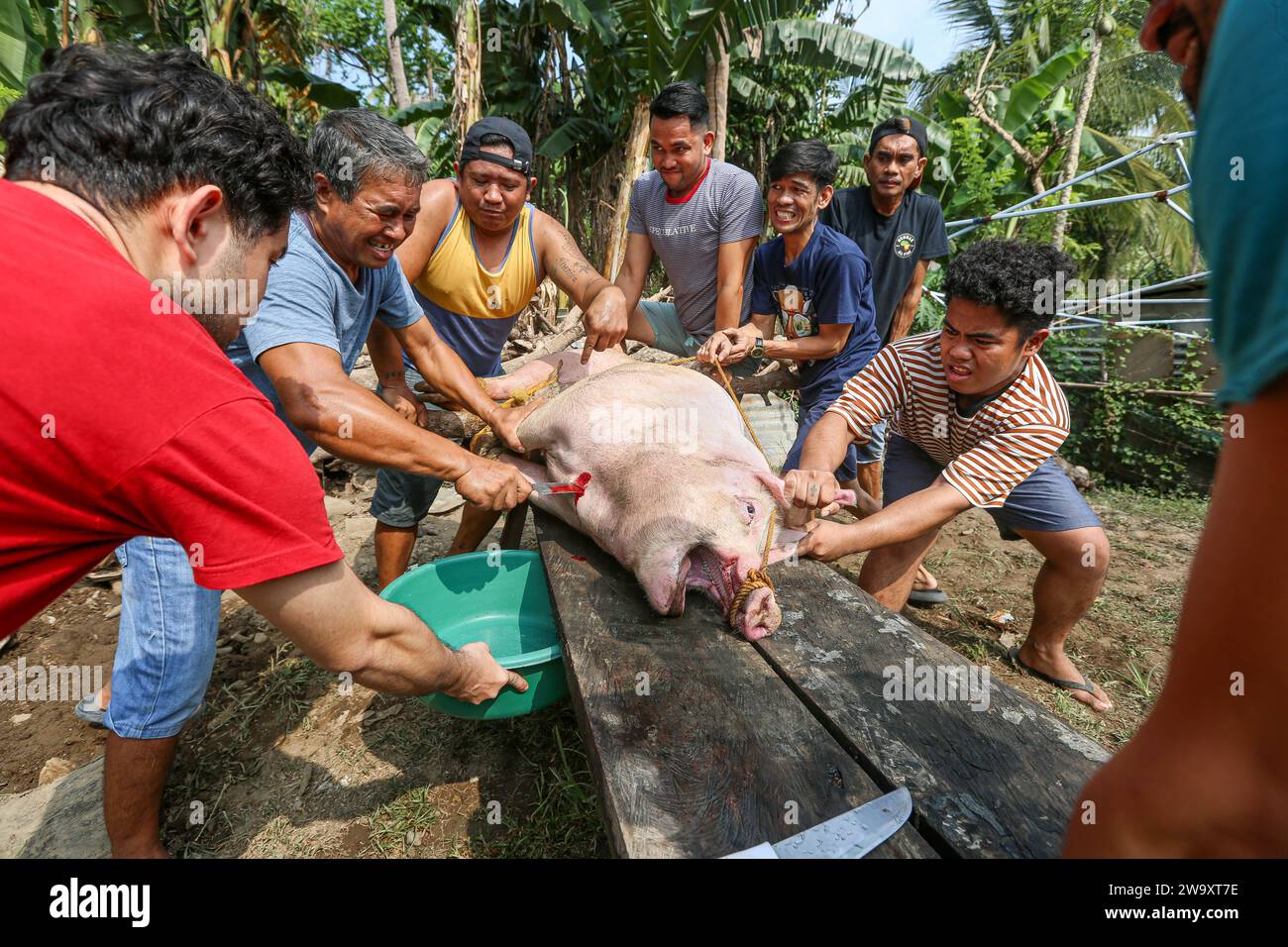 Philippine pork production hi-res stock photography and images - Alamy