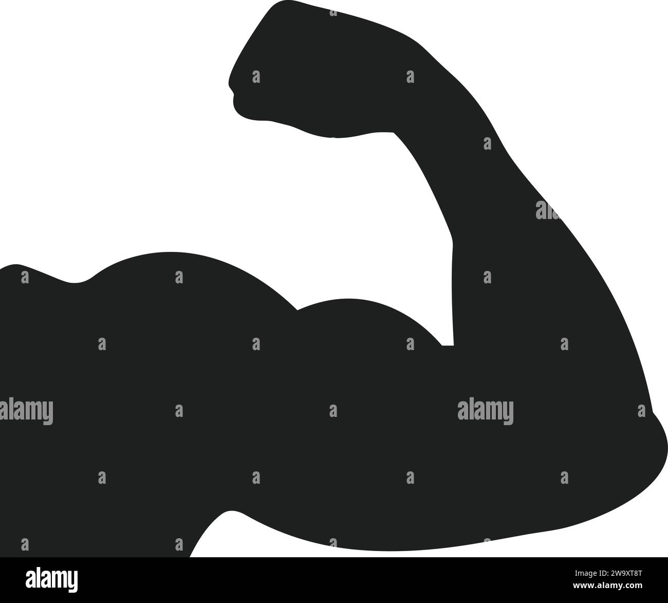 Muscles Stock Vector Images - Alamy