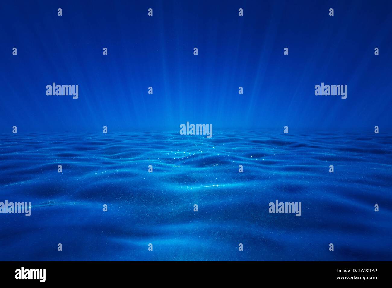 Under the surface of the ocean in clear blue water with sun rays ...