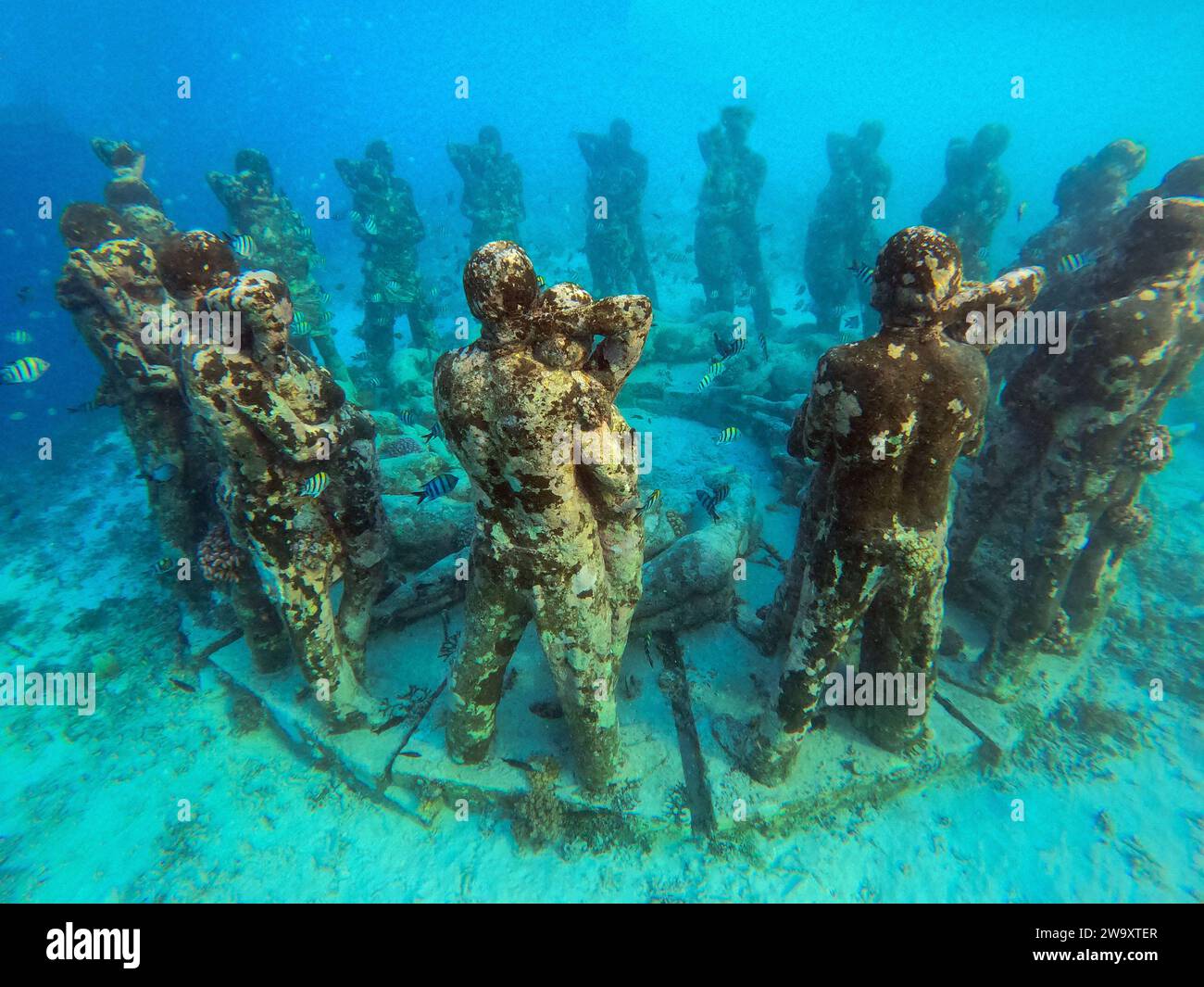 Underwater statues gili meno indonesia hi-res stock photography and ...