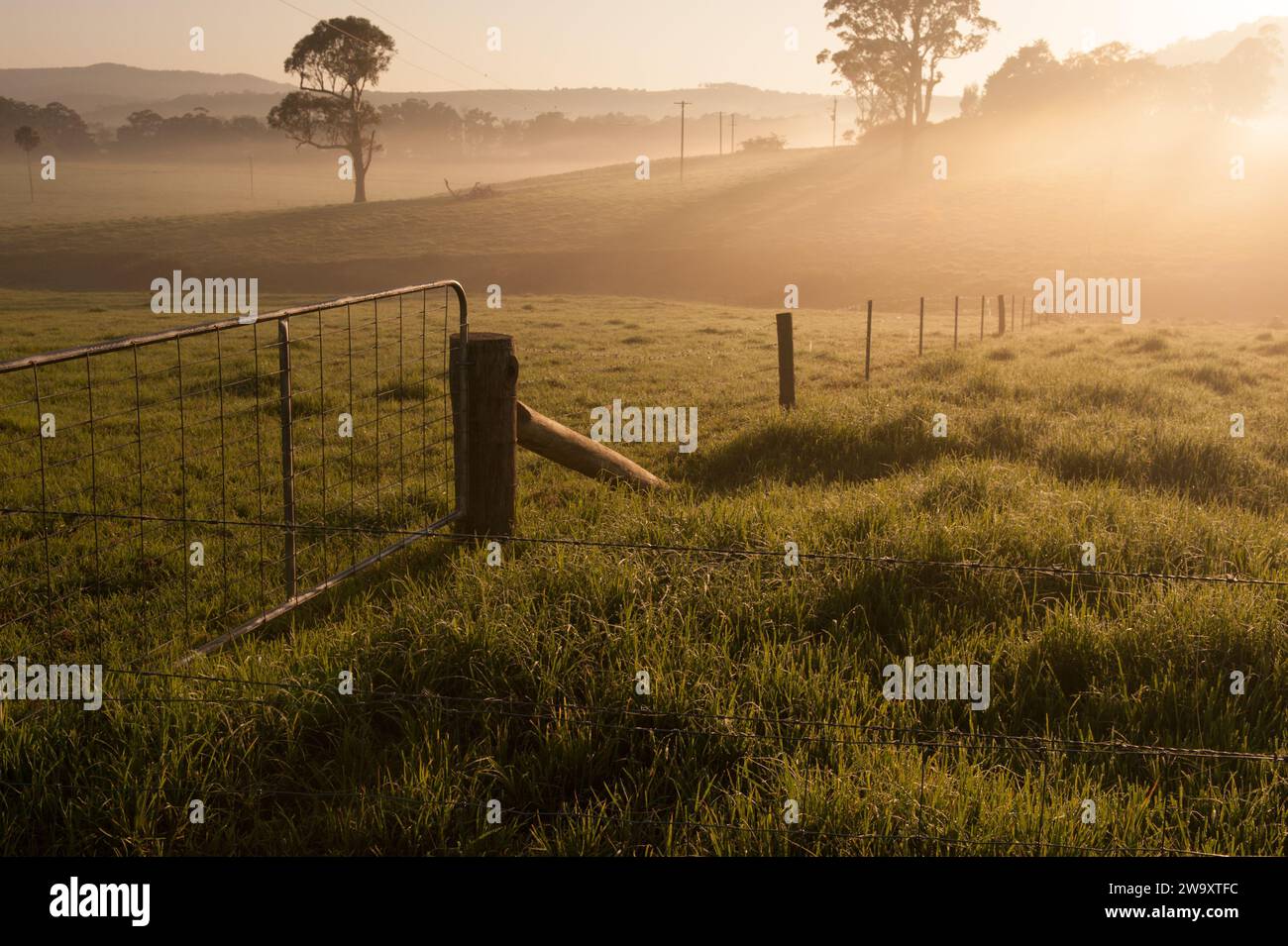 Security in paddock hi-res stock photography and images - Alamy