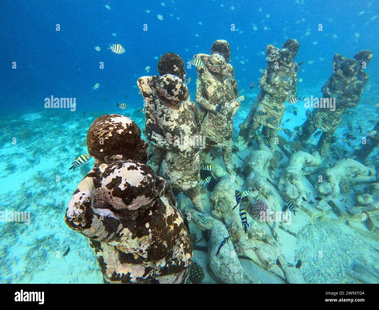 Underwater statues in the sea near Gili Meno, Indonesia Stock Photo - Alamy