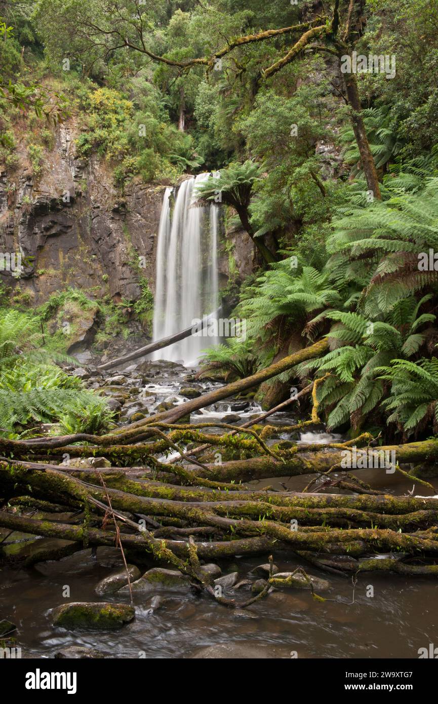 The Hopetoun Falls is a waterfall across the Aire River that is located ...