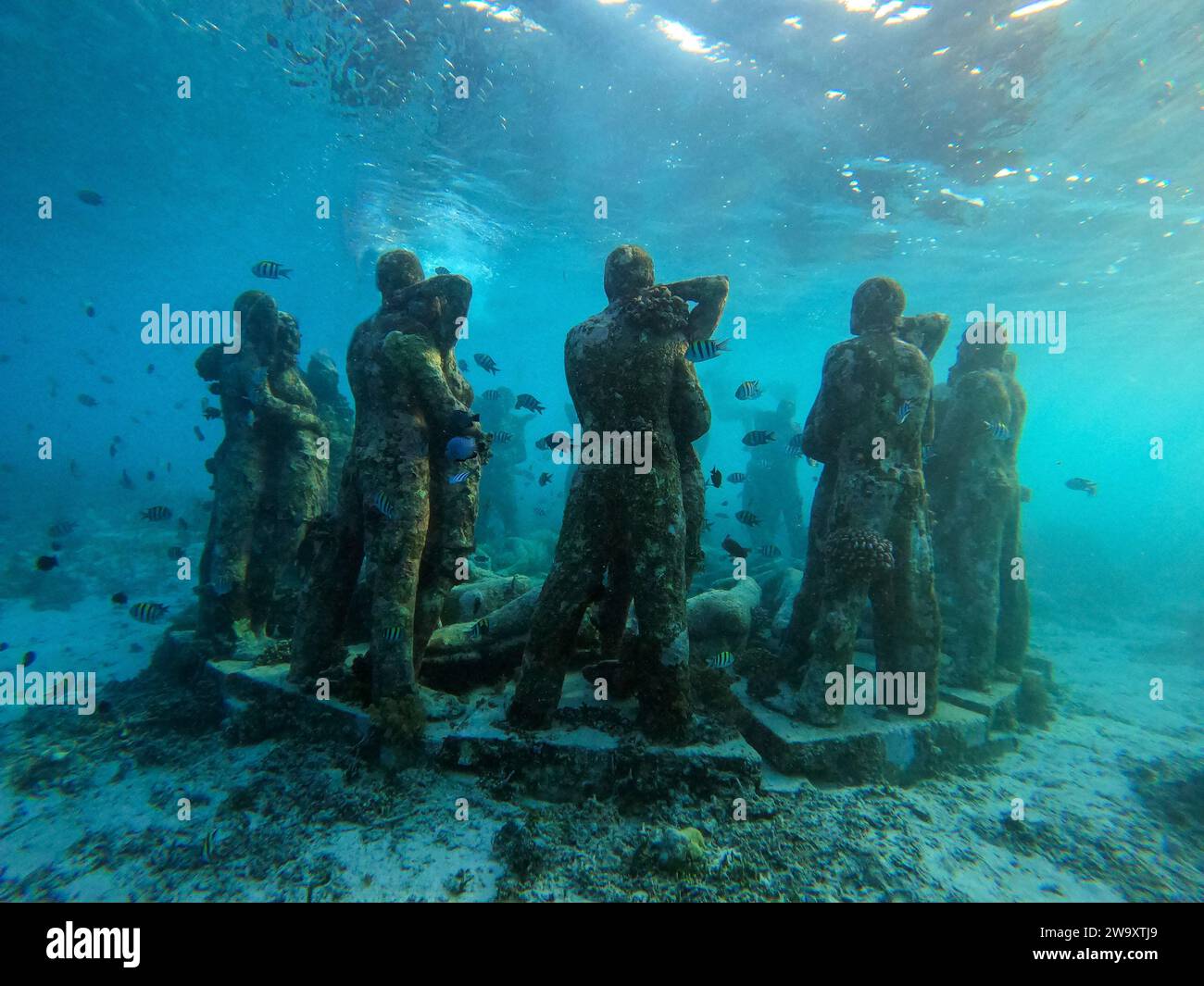 Underwater statues diver hi-res stock photography and images - Alamy