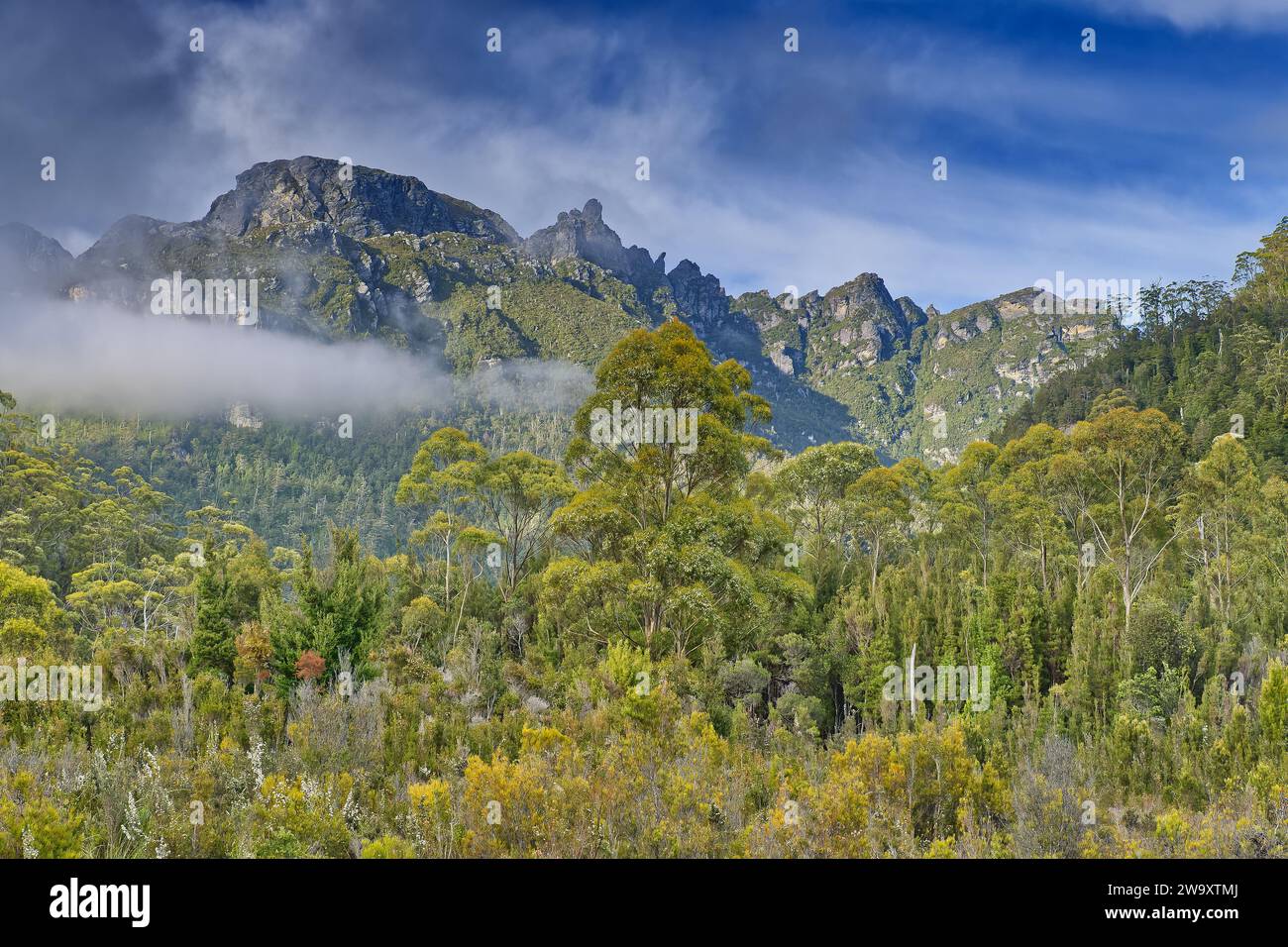 Mist clearing from Philp's Peak craggy ranges from Lake Vera ...