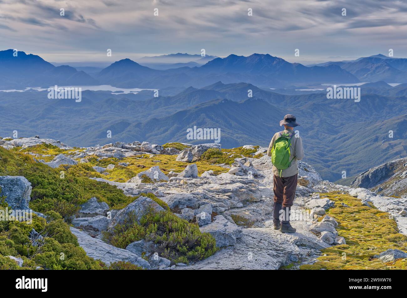 Hiker looking at Lake Burbury and endless, blue West Coast ranges in ...