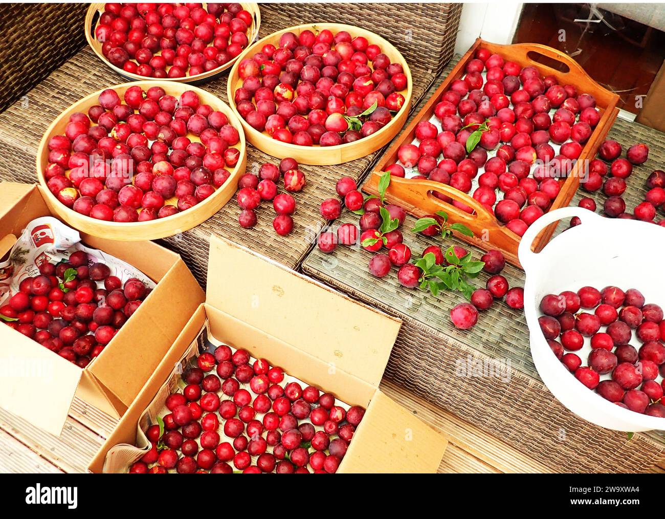 Trays of plums hi-res stock photography and images - Alamy