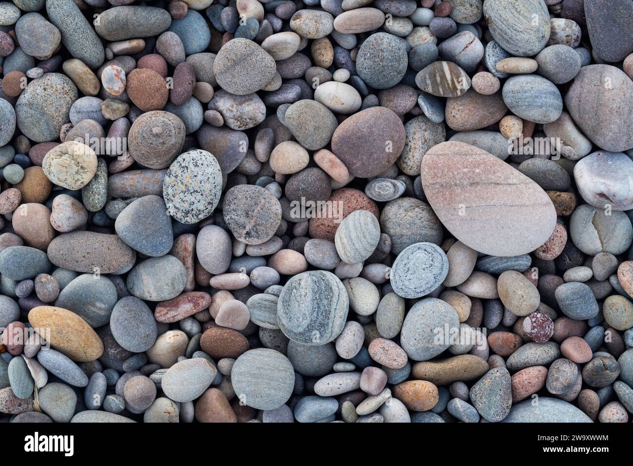 Pebbles pebble beach in hi-res stock photography and images - Alamy