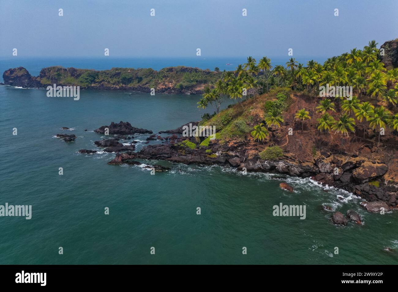 Aerial top view on tropical beach with green palm trees under sunlight ...