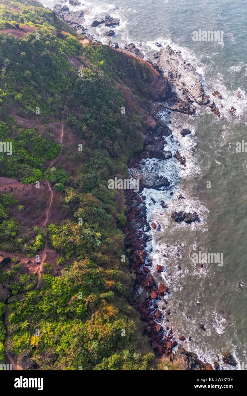 Aerial top view on tropical beach with green palm trees under sunlight ...