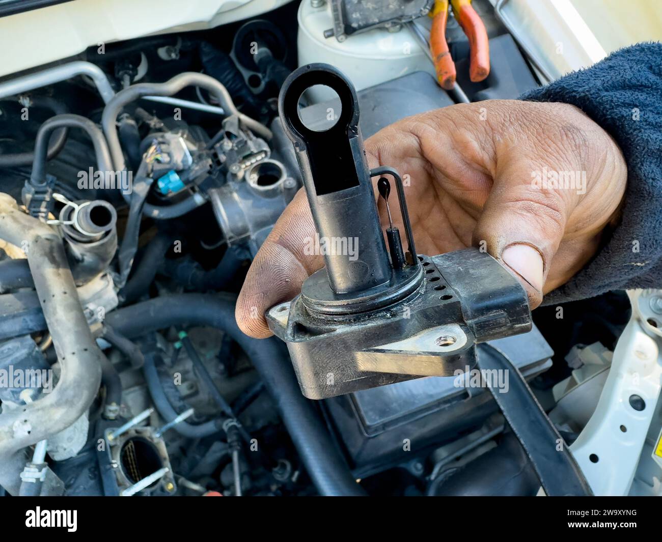 Mechanic holding Intake manifold absolute pressure sensor (MAP sensor ...