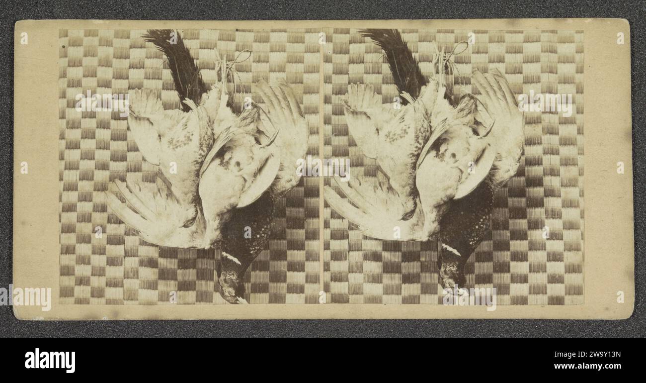 Still life with poultry, 1857 - 1870 stereograph paper. cardboard ...