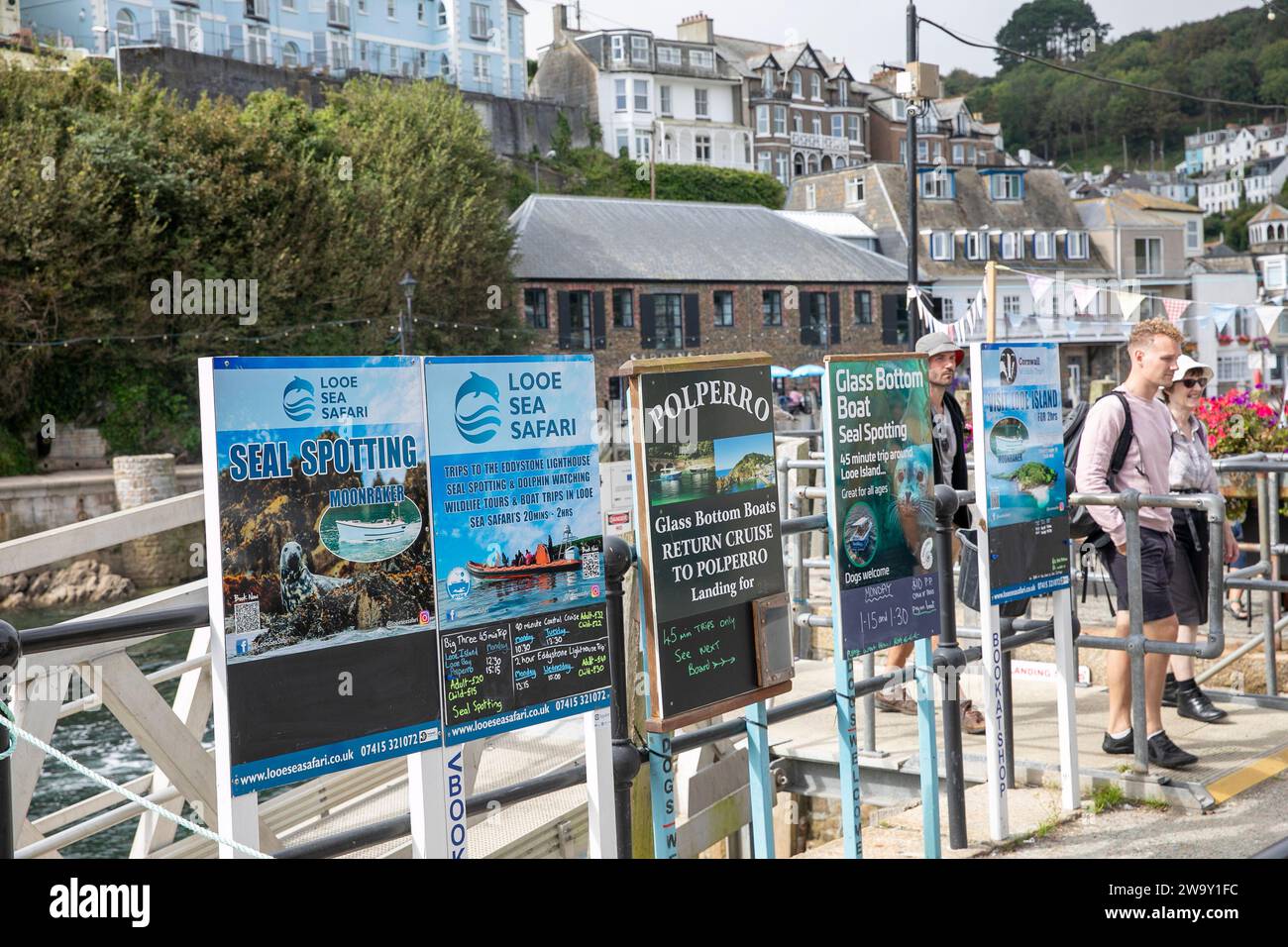 Looe Cornwall, seal spotting and other boat trips being promoted ...