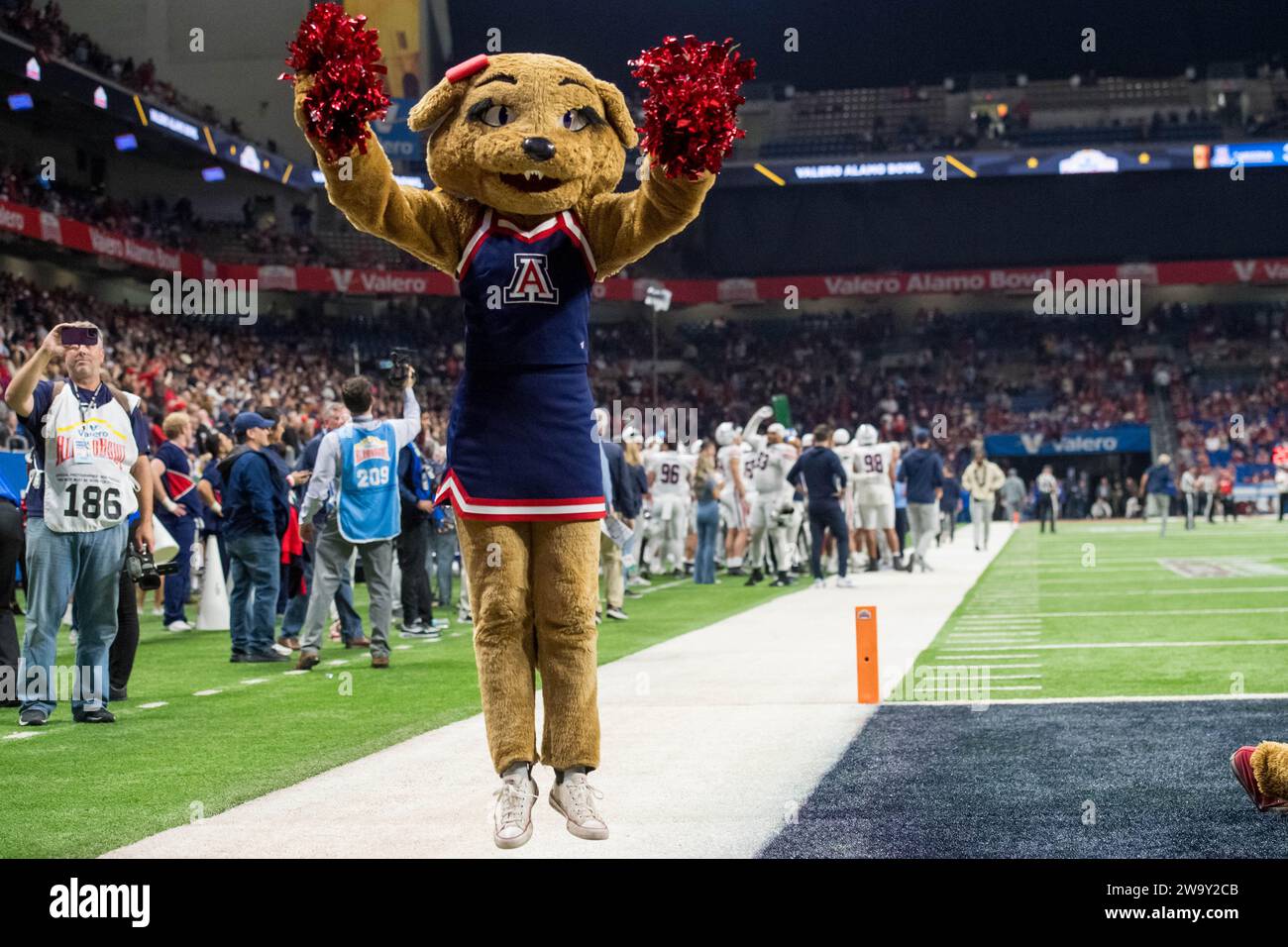 San Antonio, TX, USA. 28th Dec, 2023. Arizona Wildcats mascot Wilma ...