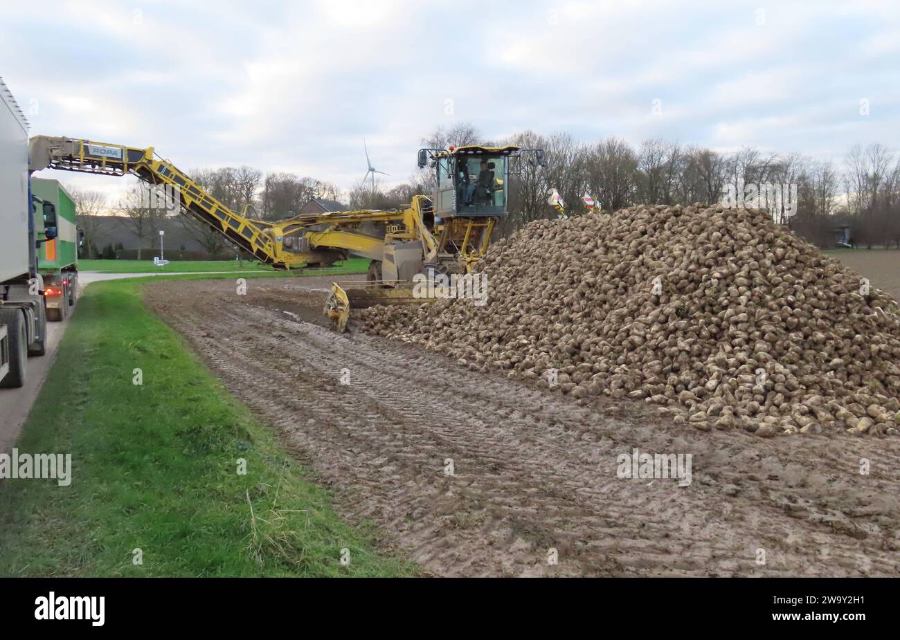 Technischer Fortschritt in der Landwirtschaft Zuckerruebenverlader mit ...