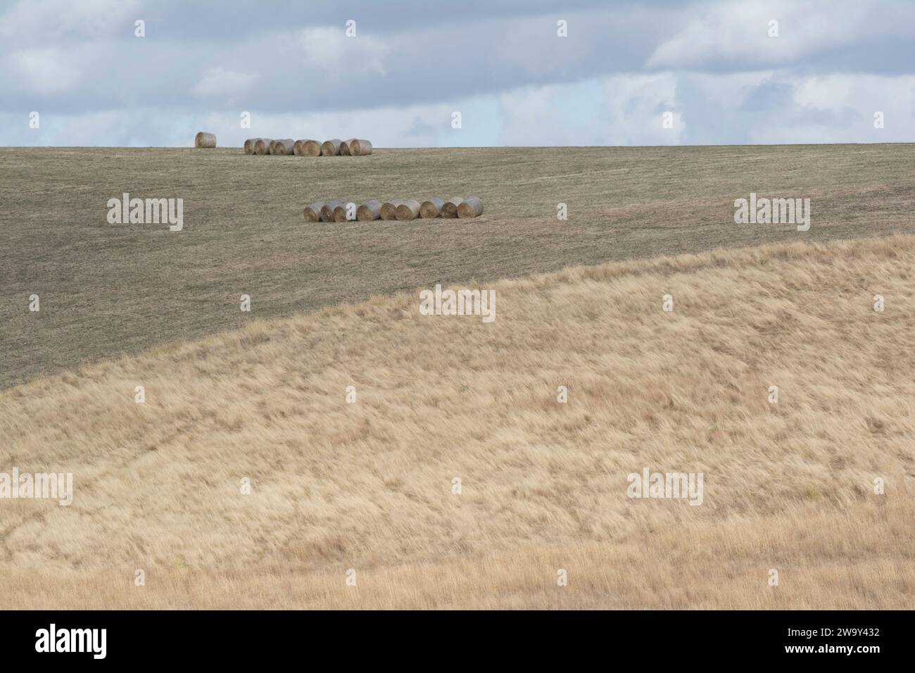 Random rural field, covered in dry brittle summer grass, with large ...