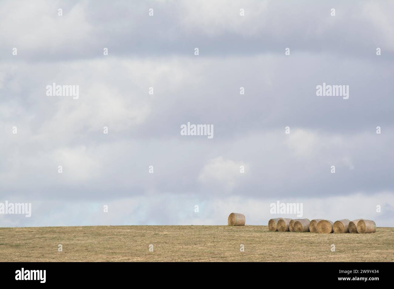 Random rural field, covered in dry brittle summer grass, with a single ...