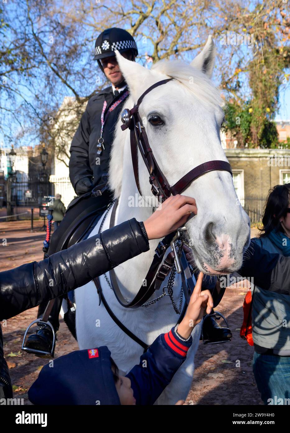 City of london police mounted branch hi-res stock photography and ...