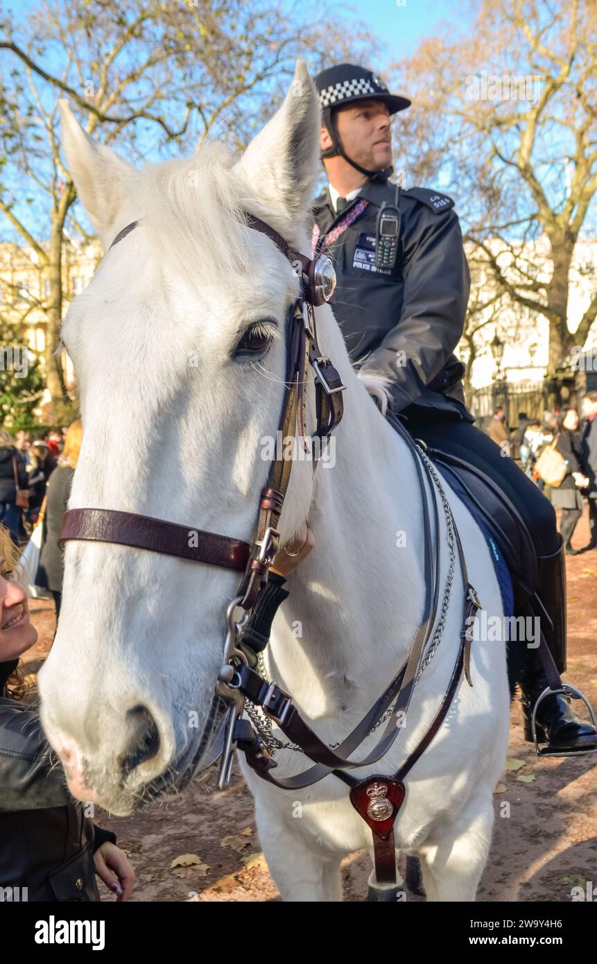 City of london police mounted branch hi-res stock photography and ...