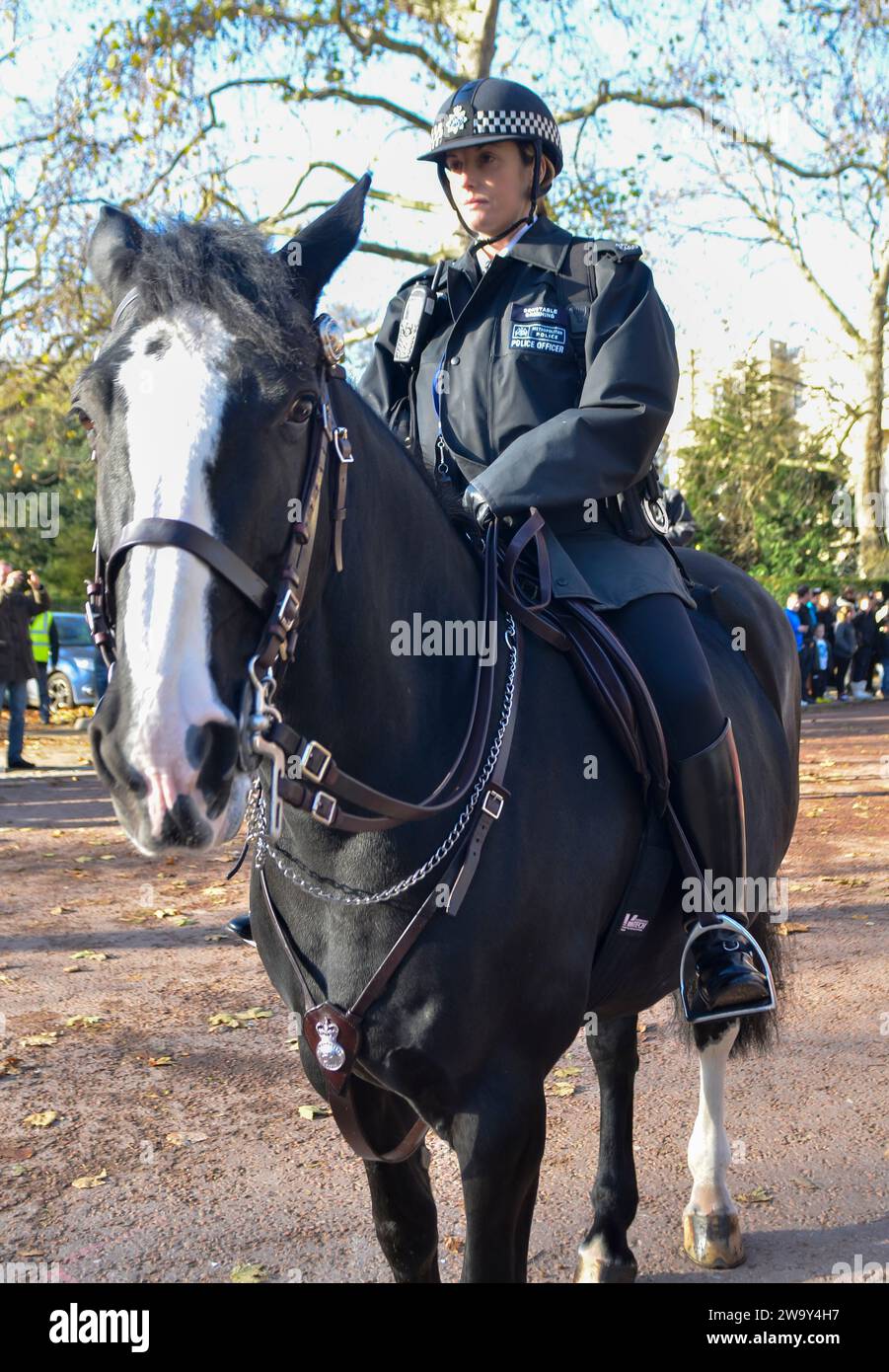 City of london police mounted branch hi-res stock photography and ...