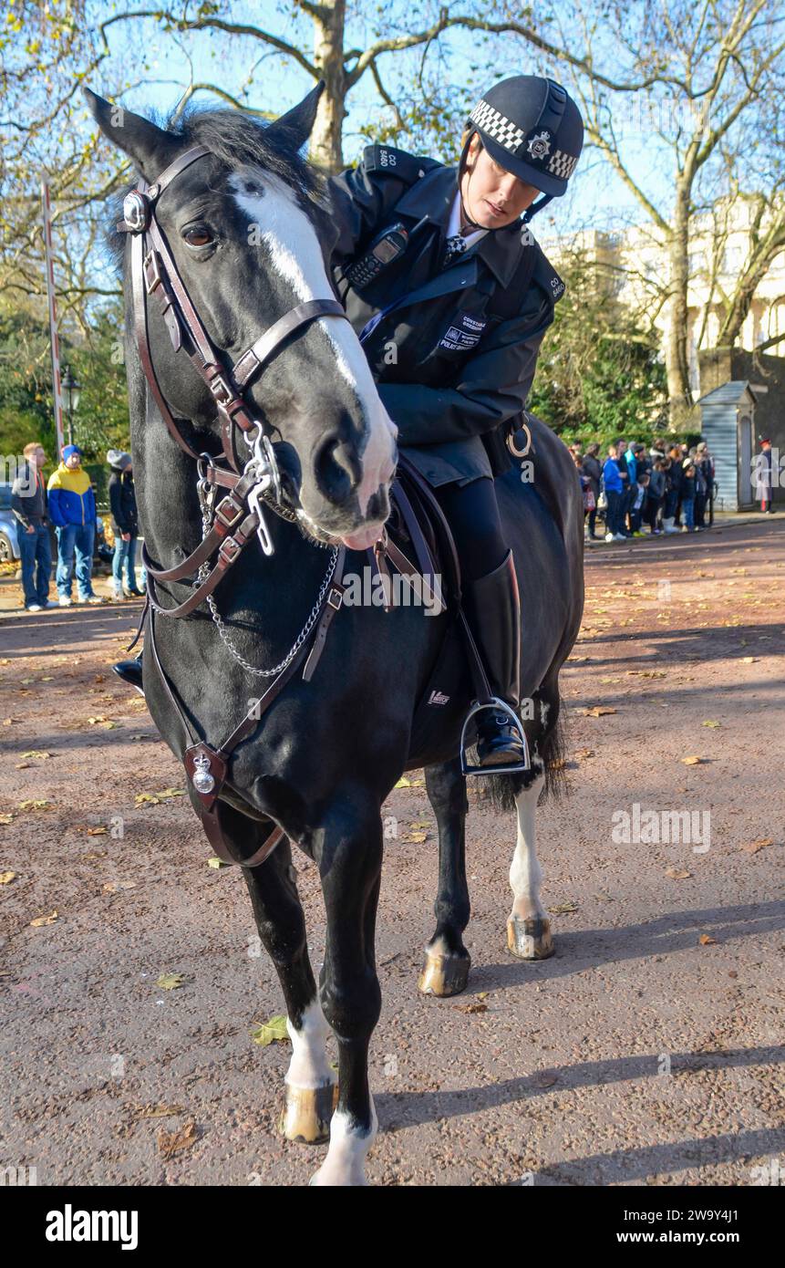 City of london police mounted branch hi-res stock photography and ...