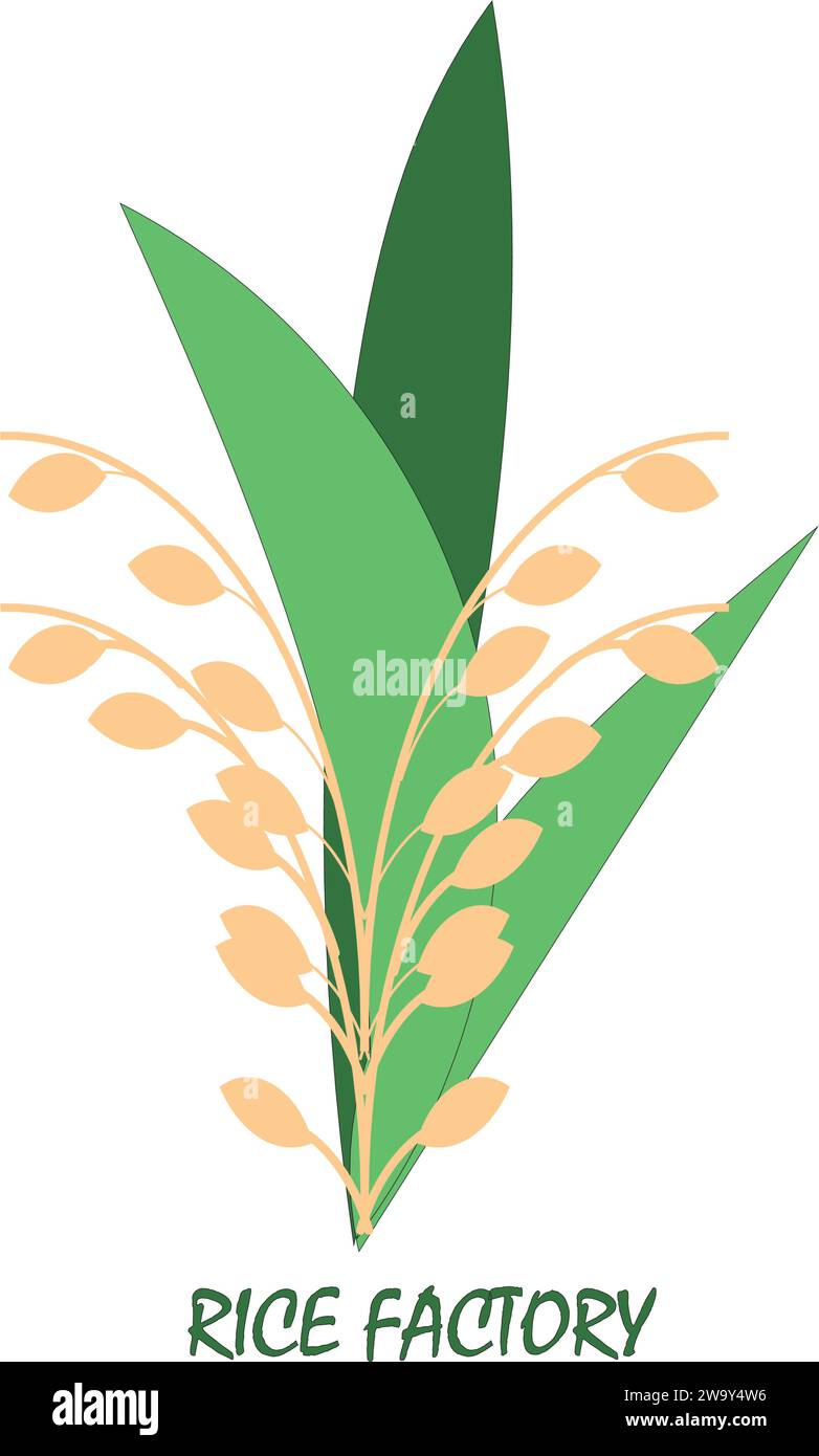 Rice plant image Stock Vector Images - Alamy