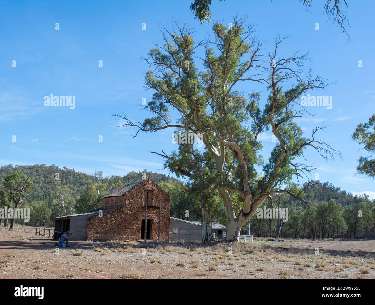Aboriginal australian old man hi-res stock photography and images - Alamy
