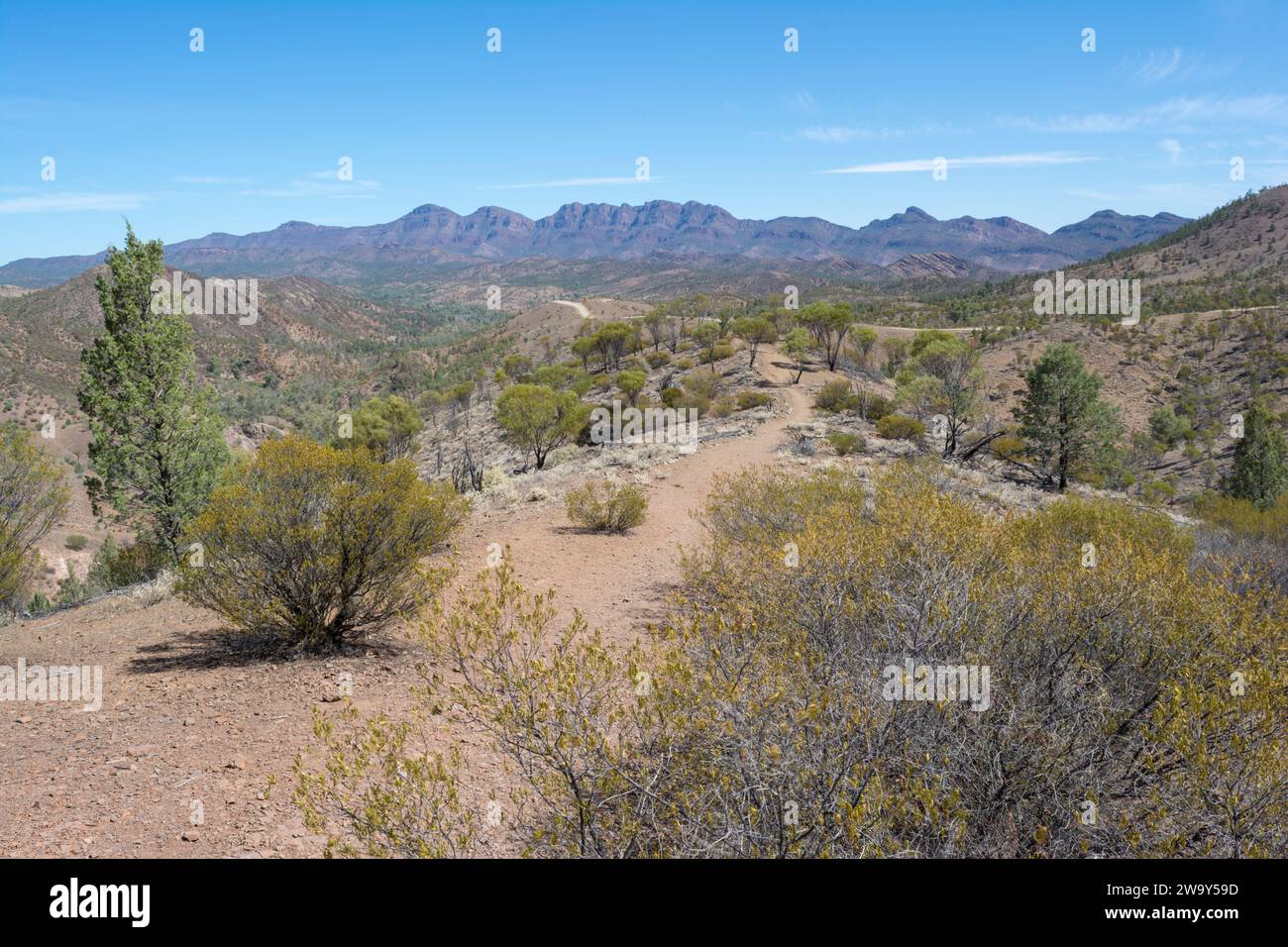 Razorback range hi-res stock photography and images - Alamy