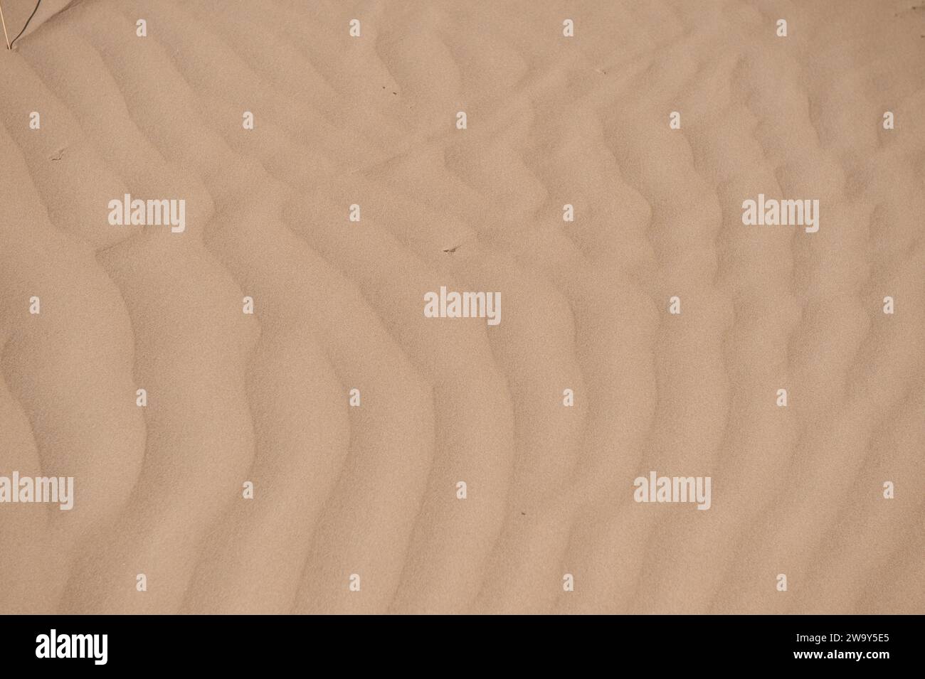 Australian sandy beach texture Stock Photo - Alamy