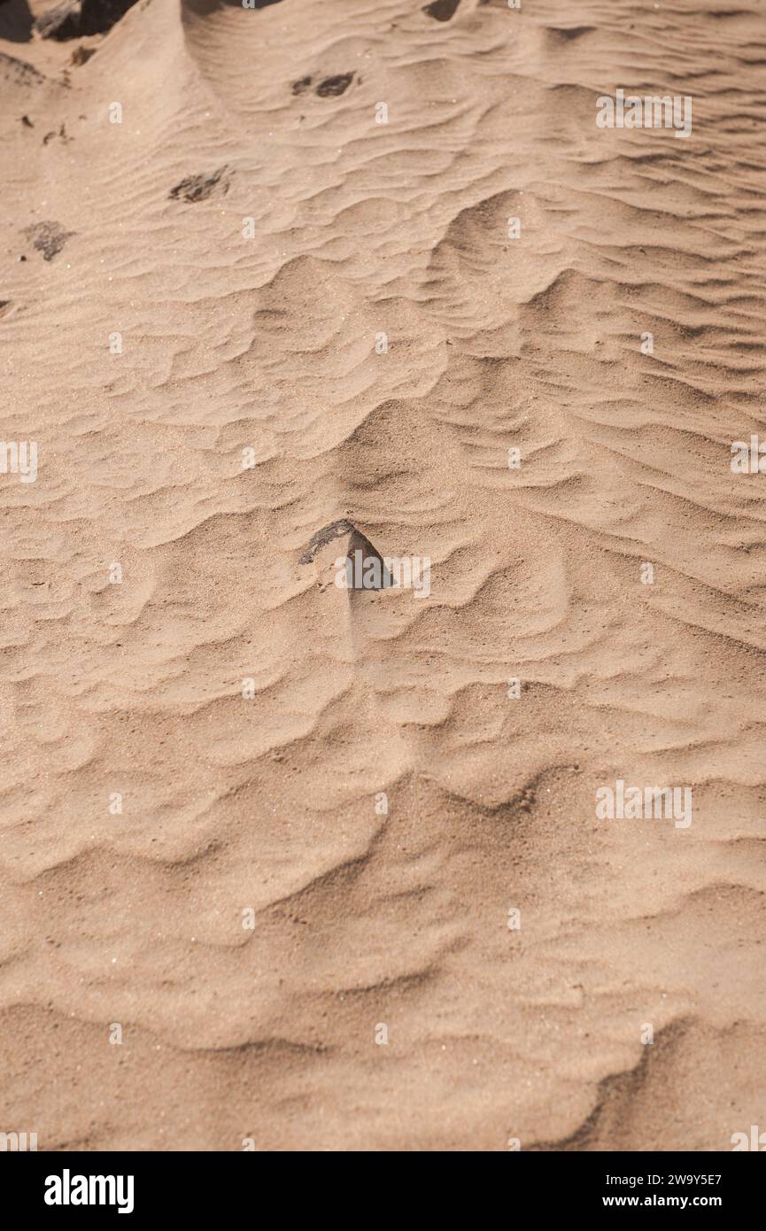 Australian sandy beach texture Stock Photo - Alamy