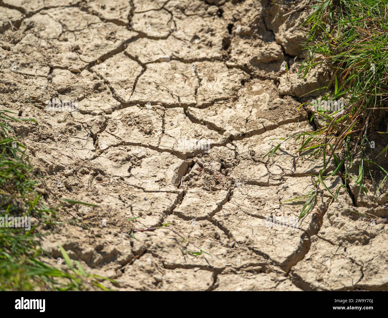 Cracked earth dried out hi-res stock photography and images - Alamy