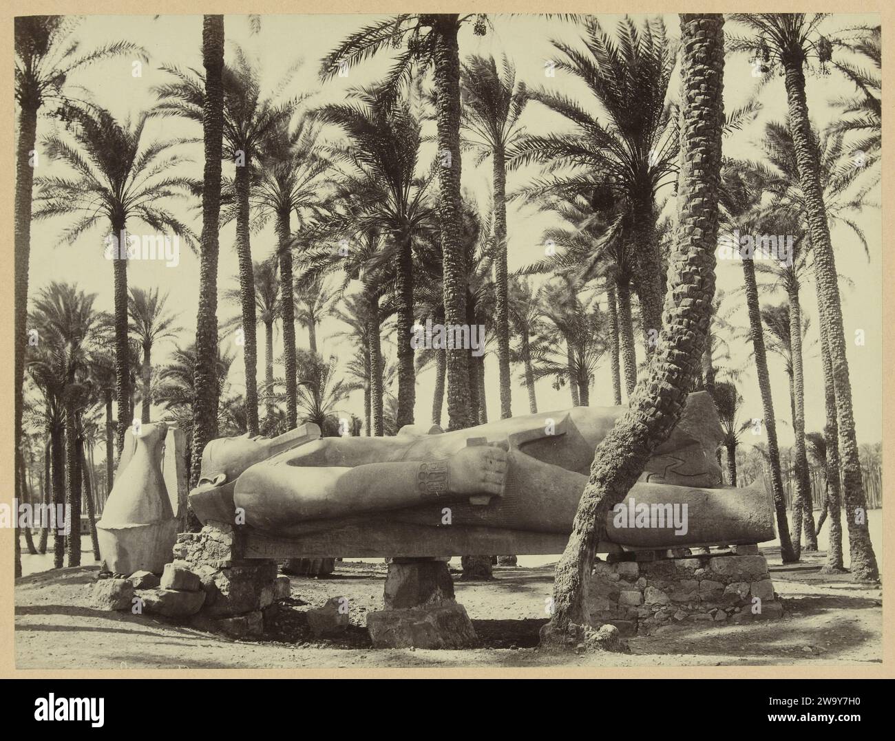 Fallen statue of Pharaoh Ramses II, Memphis, 1888 - 1895 photograph ...