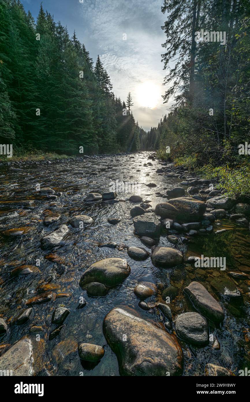 Boulder Creek in the St. Joe National Forest, Idaho Stock Photo - Alamy