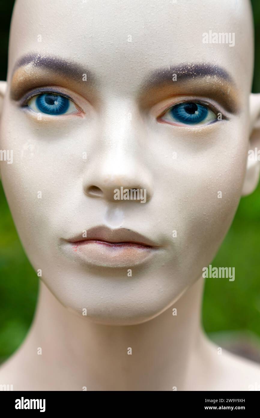 Female mannequin face doll model woman bald blue eyes close-up Stock ...