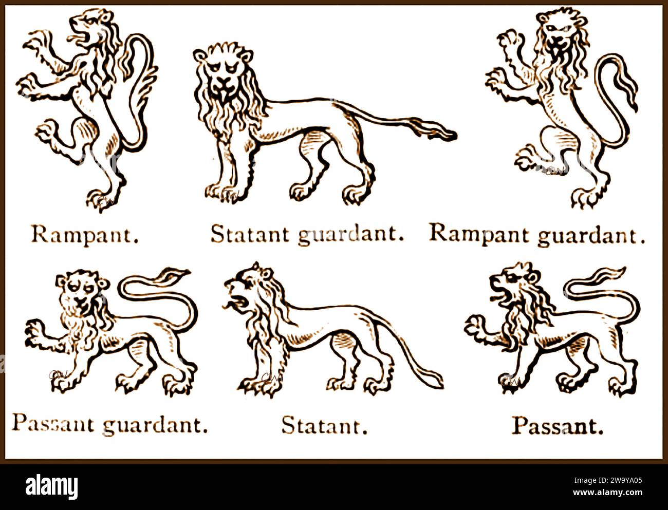 Heraldry - A 19th century illustration showing various types of lions ...
