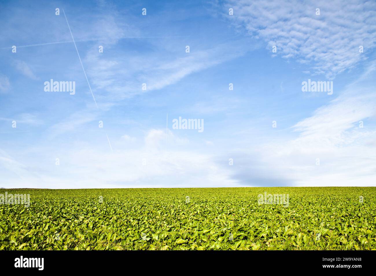 Big wide open space hi-res stock photography and images - Alamy