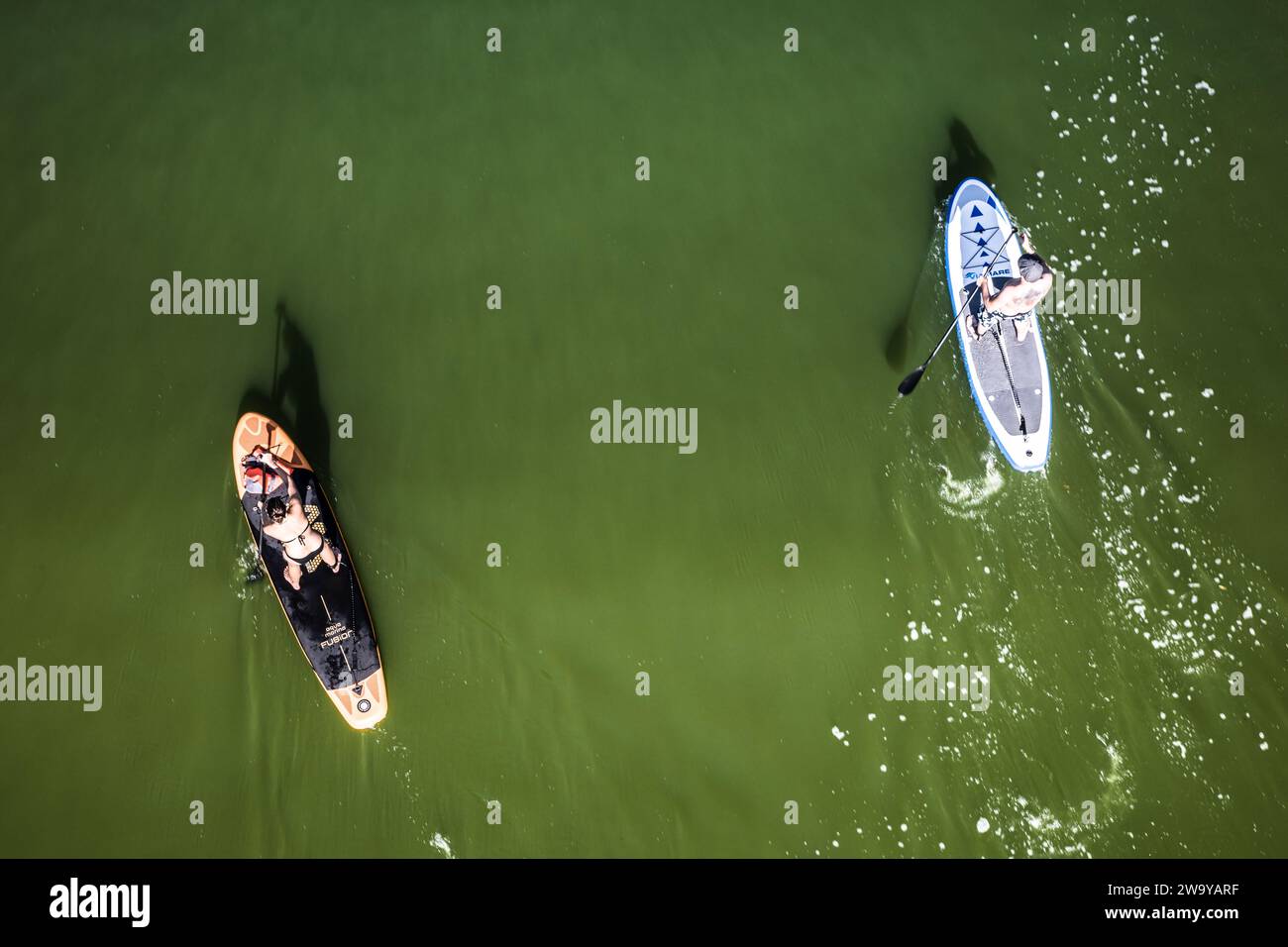 two stand up paddlers shot from above on the water. 2 Stand Up Paddler ...